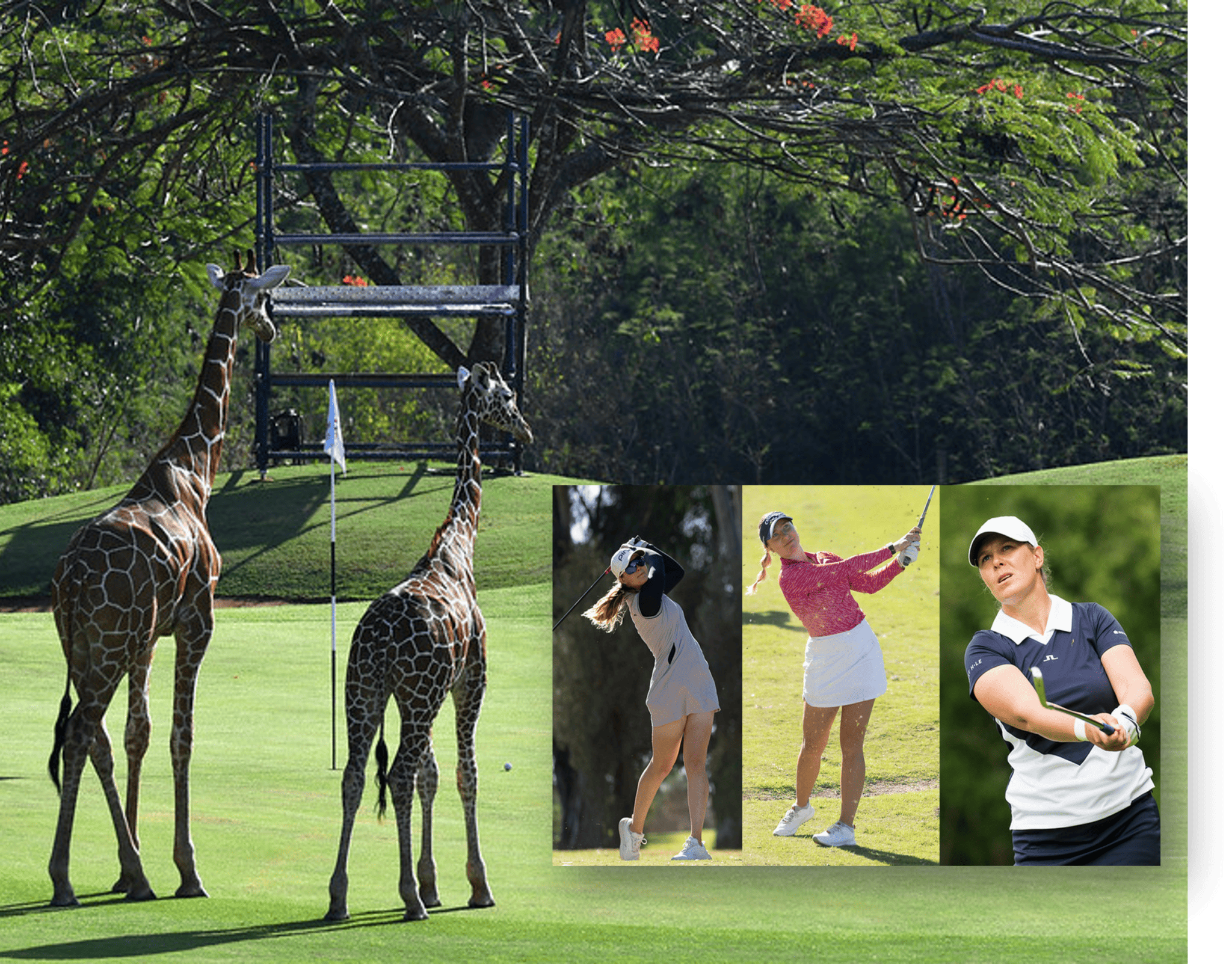 Sesongstart på LET for Forbrigd, Skarpnord og Stavnar - Lykke til i ...